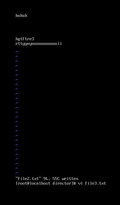 在/tmp目录下，新建目录director新建三个txt文件，分别为file1.txt，file2.txt,file3.txt，用vi编辑器分别在三个文件中输入内容。-CSDN博客