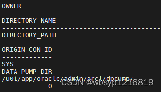 oracle 19c安装实操_oracle19c配置环境变量_wbsyp1216819的博客-CSDN博客