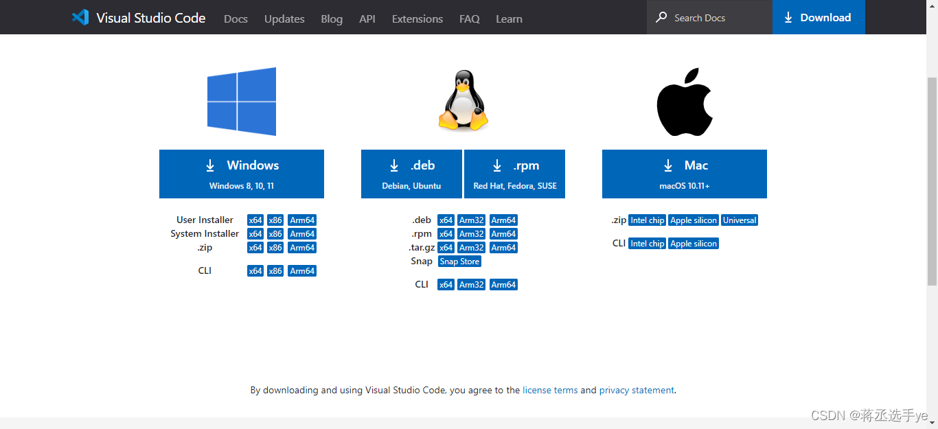 vscode下载与安装_vscode2019下载-CSDN博客