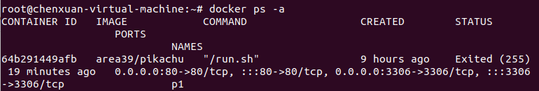 docker中的pikachu靶场环境搭建_docker搭建pikachu-CSDN博客