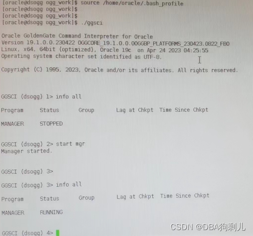 单实例下oracle19c与ogg 191打补丁参考oracle19c打补丁 Csdn博客