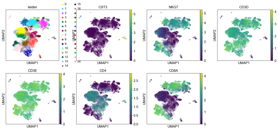10w+细胞数的项目Seurat分析很慢，我推荐你scanpy_菌小落的博客-CSDN博客