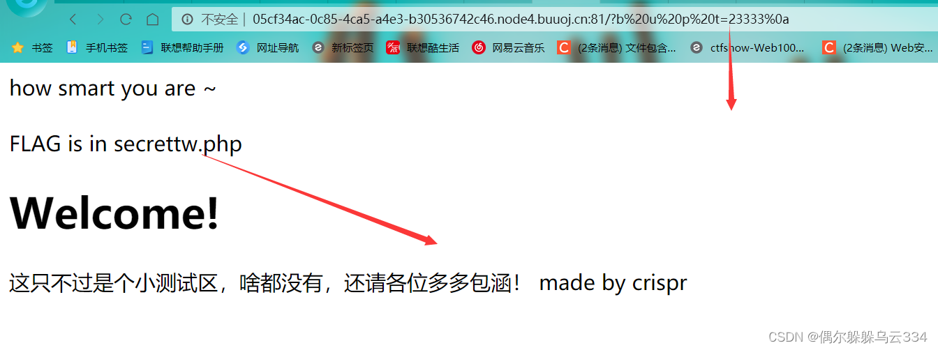 Php特性函数（正则漏洞函数）config Flag Indexphp Csdn博客