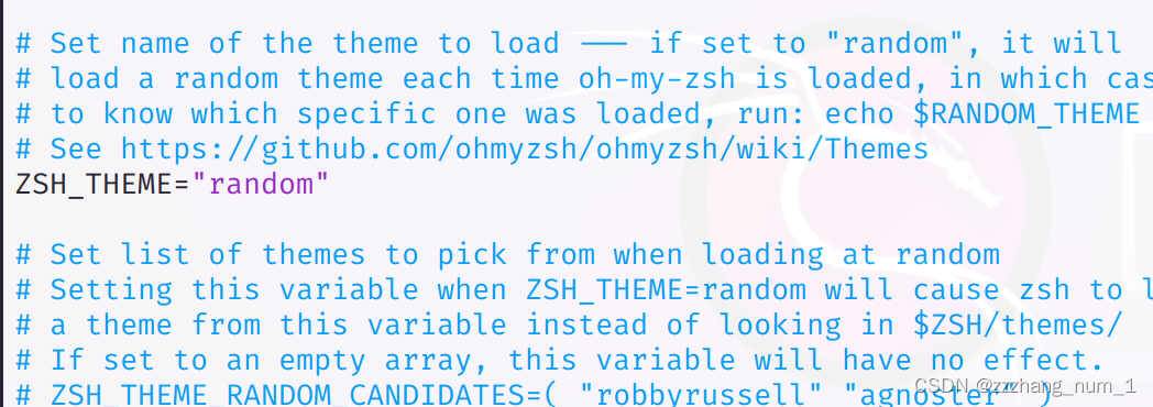 oh-my-zsh-CSDN博客