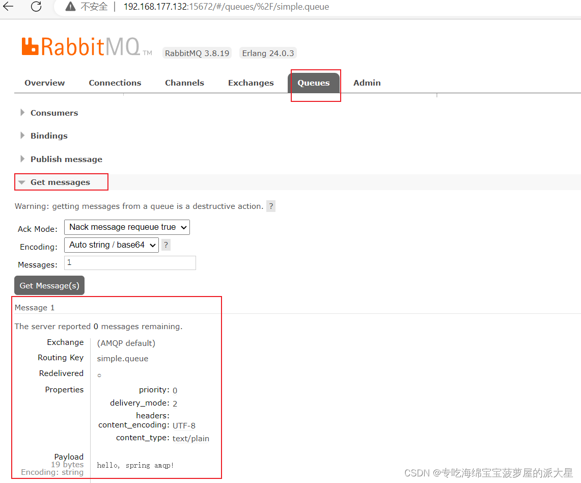 使用springamqp实现基础消息队列功能 极客之音