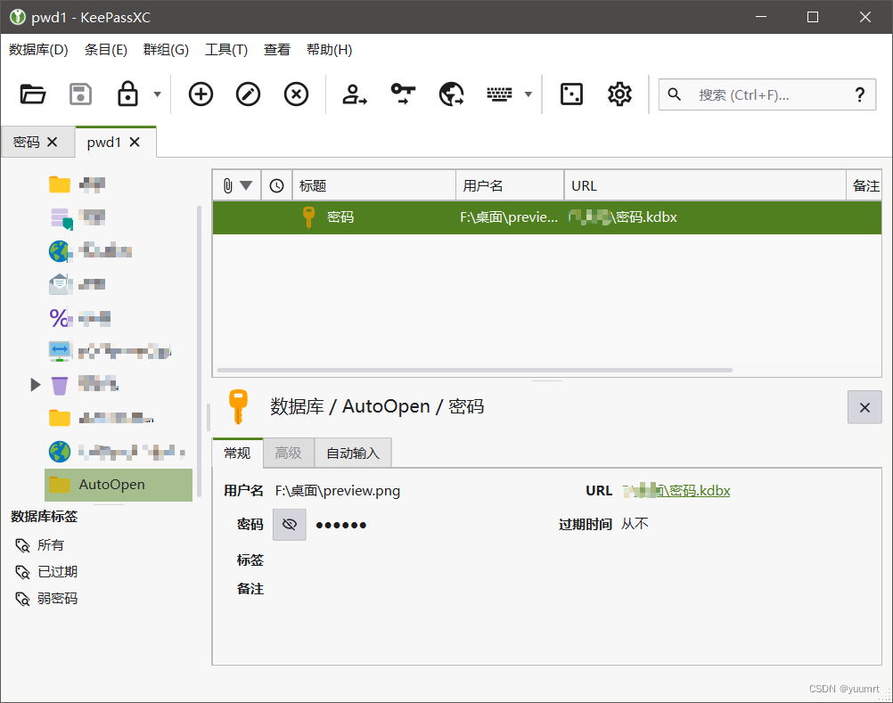 KeepassXC详细教程-CSDN博客