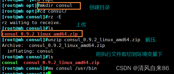 Docker容器-----Consul（注册中心）部署_console 注册中心 docker-CSDN博客