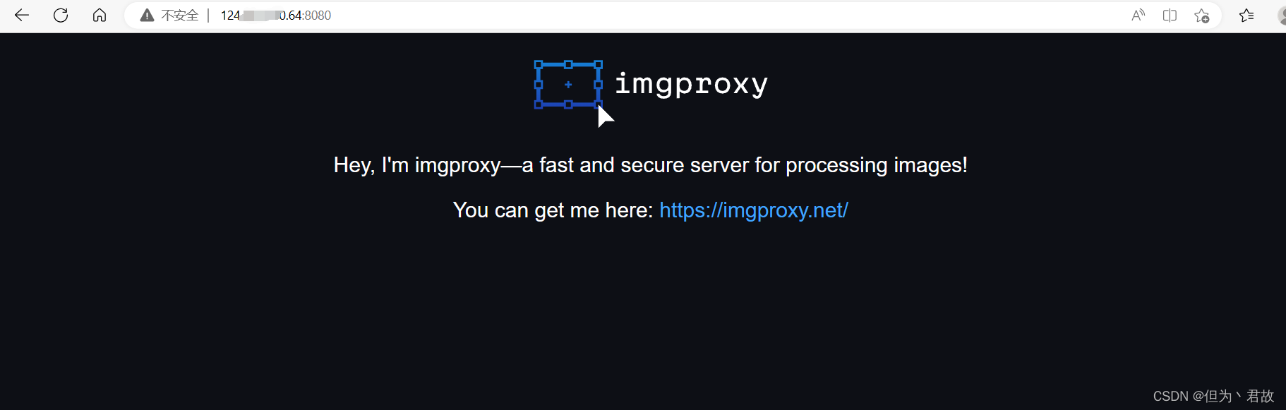 imgproxy processing options 常用参数-CSDN博客