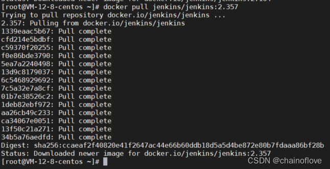 Jenkins持续集成_finish to use script executor with status failed =-CSDN博客