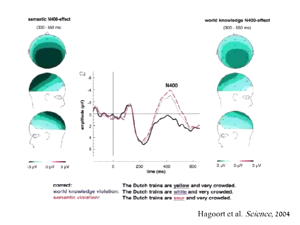 脑电实验设计的原理与实例-EEG Processing and Feature 4-CSDN博客