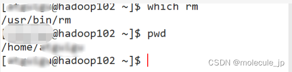 rm / -rf指令的作用是？_rm -rf-CSDN博客