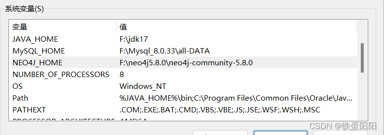 Neo4j 5.80社区版的安装教程_neo4j社区版-CSDN博客