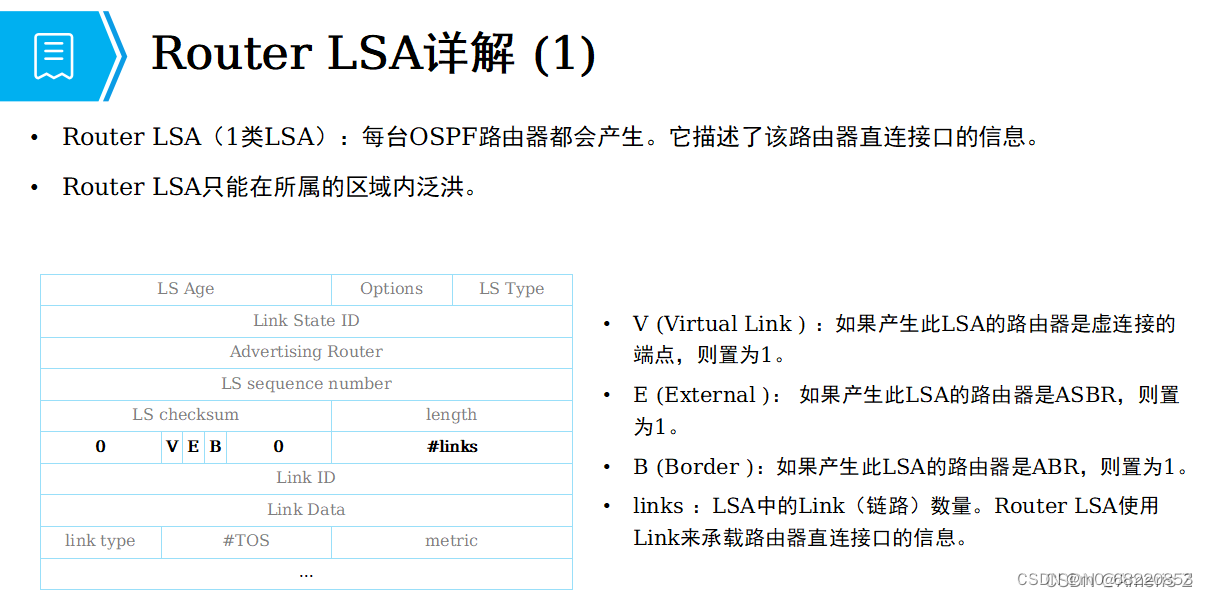 ospf1类LSA Router LSA_ospf 1类lsa-CSDN博客