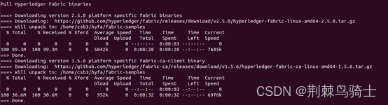 Hyperledger Fabric 入门笔记（四）Fabric V2.4 测试网络基础_荆棘鸟骑士的博客-CSDN博客