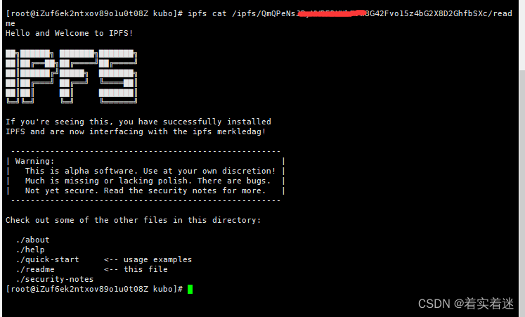 Linux 安装ipfs —— Ipfs环境配置 Checker Ipfs Csdn博客