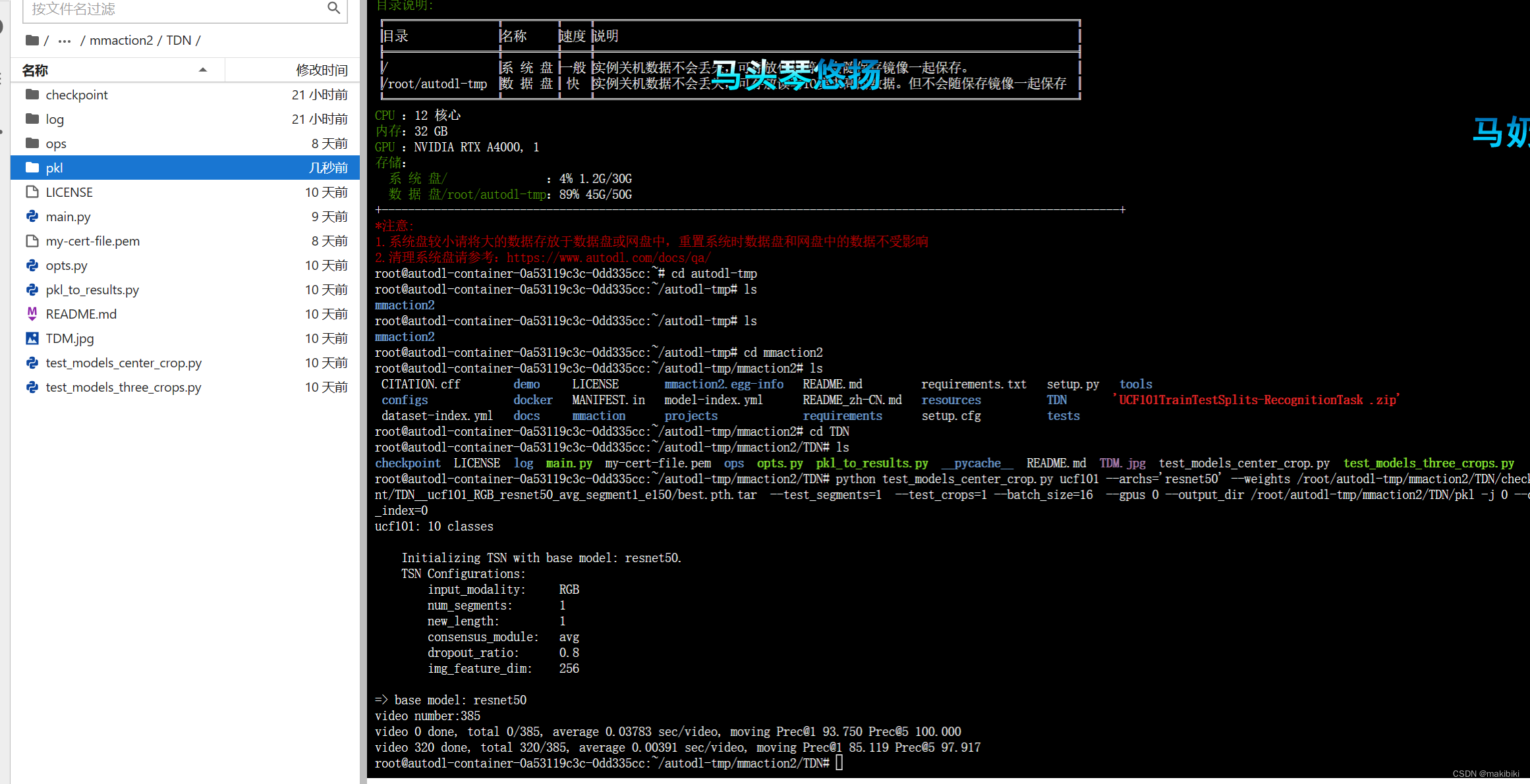 TDN复现（UCF101--只用了十个类别）_c3d与tdn-CSDN博客