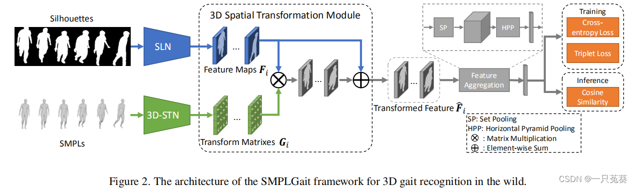 【步态识别】SMPLGait 算法学习《Gait Recognition in the Wild with Dense 3D Representations and A Benchmark ...