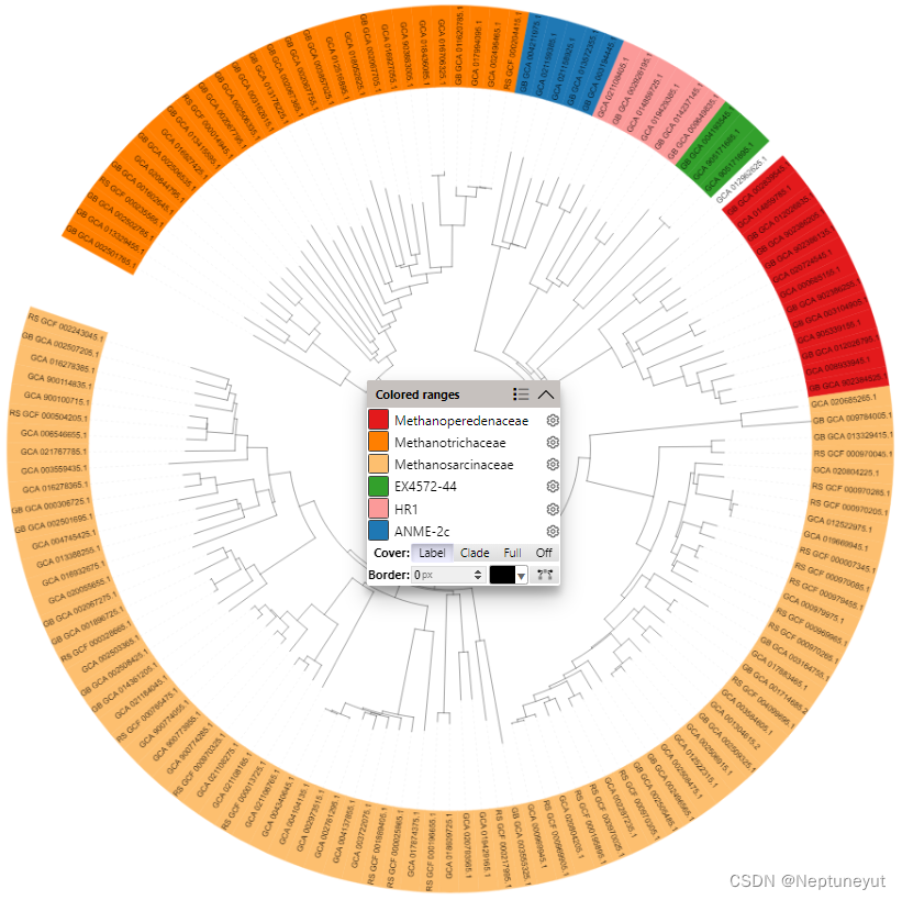 orthofinder直系同源蛋白分析及结果处理-CSDN博客