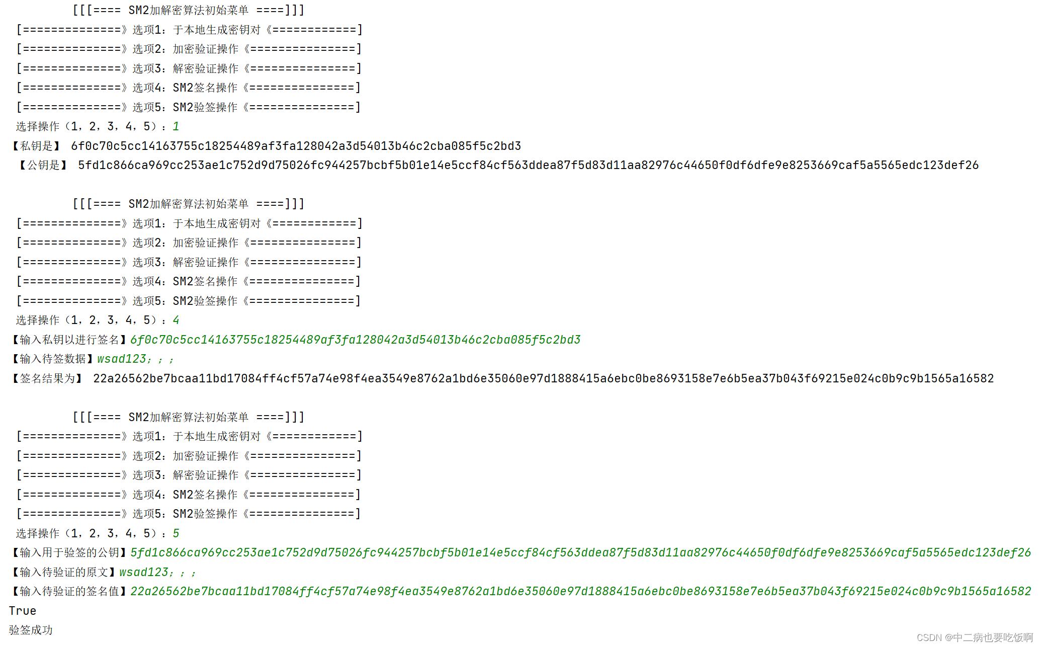 python GMSSL包实现SM2加解密算法、签名验签算法及带ID签名、验签【含资源！见页首】_python gmssl 加签-CSDN博客