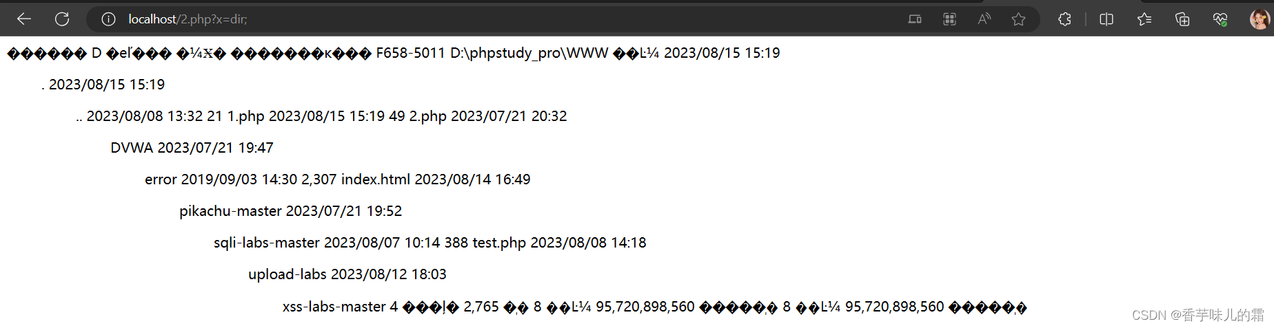 Web渗透--RCE（远程代码/命令执行）_远程渗透-CSDN博客