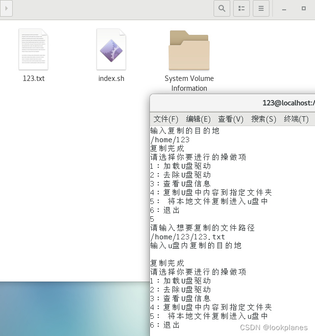 linux下centos7 ubuntu利用shell进行U盘挂载步骤_uefi shell 加载u盘-CSDN博客