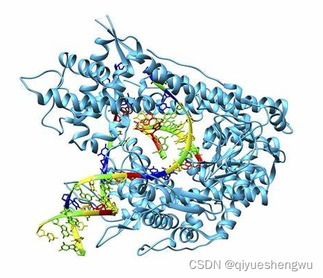 RNA的化学修饰原理|Gal-PEG-siRNA|siRNA-S-S-DSPE|siRNA-s-s-PEG|cholesterol-siRNA ...