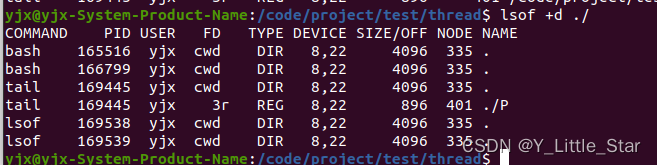 Linux下lsof命令的用法_linux的lsof命令用法-CSDN博客