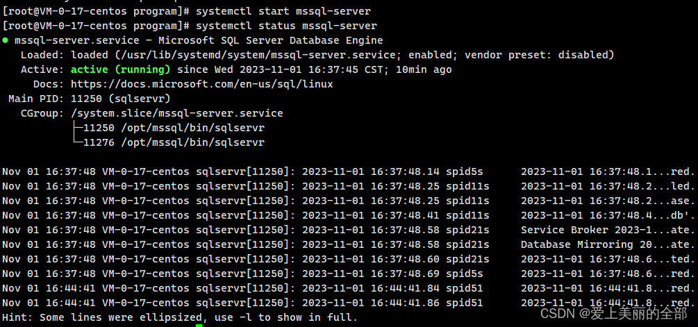 centos下无网络离线安装sqlserver linux无网络安装sqlserver_centos7离线如何下载安装sqlserver-CSDN博客