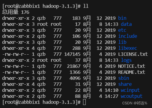 Hadoop环境搭建 集群启动篇启动hdfs集群 Csdn博客 