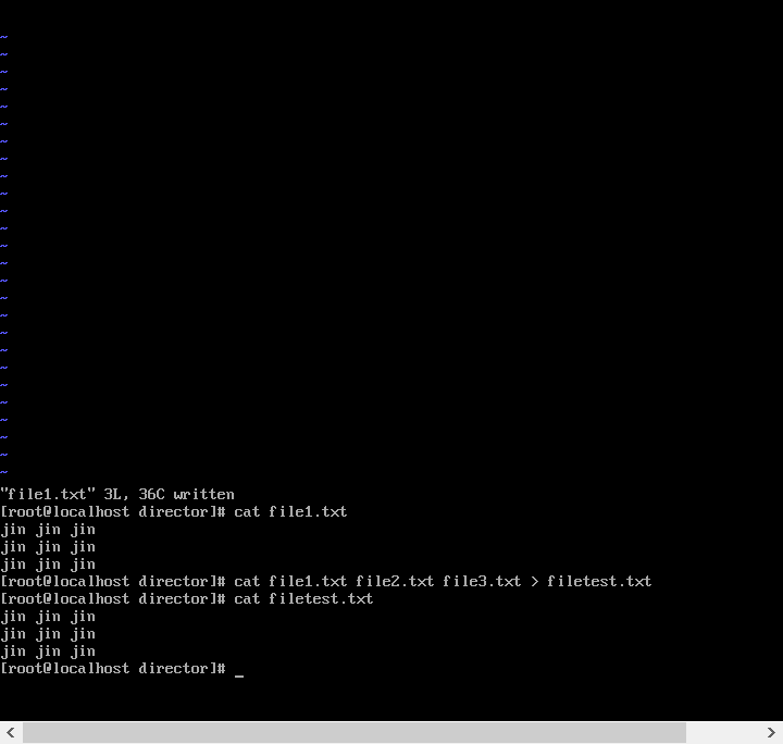 linux_新建文件 file2, file3;-CSDN博客