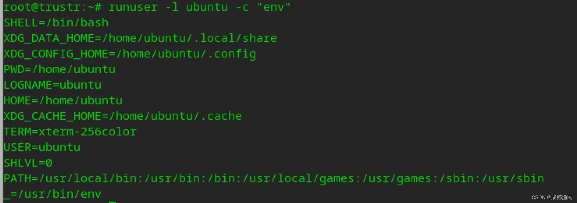 Linux中使用runuser命令实现用其他用户身份执行命令-CSDN博客