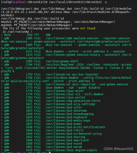 [KeyarchOS]Chkrootkit后门检测工具的安装-CSDN博客