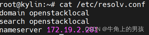 Kylin V4系统resolv.conf文件重启后被重置_resolve. conf配置文件每次重启被重置-CSDN博客