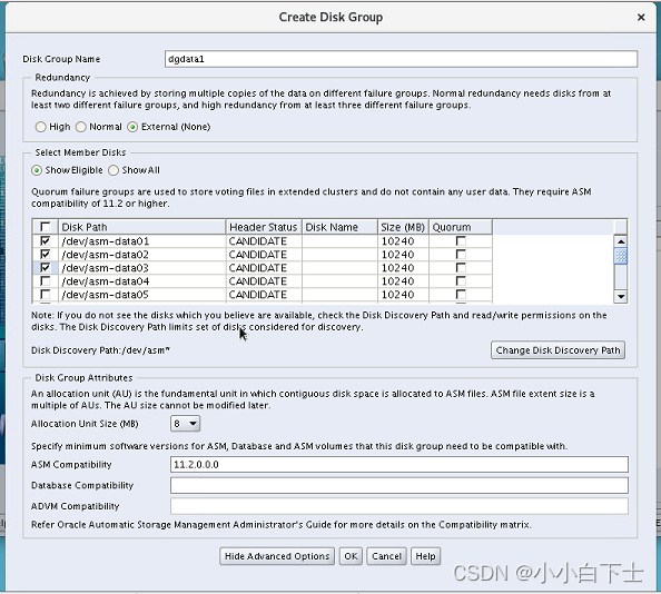 ASM+udev+oracle11gR2+rhel7——3.可视化安装grid+asm配置_oracle 11g 单机服务器asm部署-CSDN博客