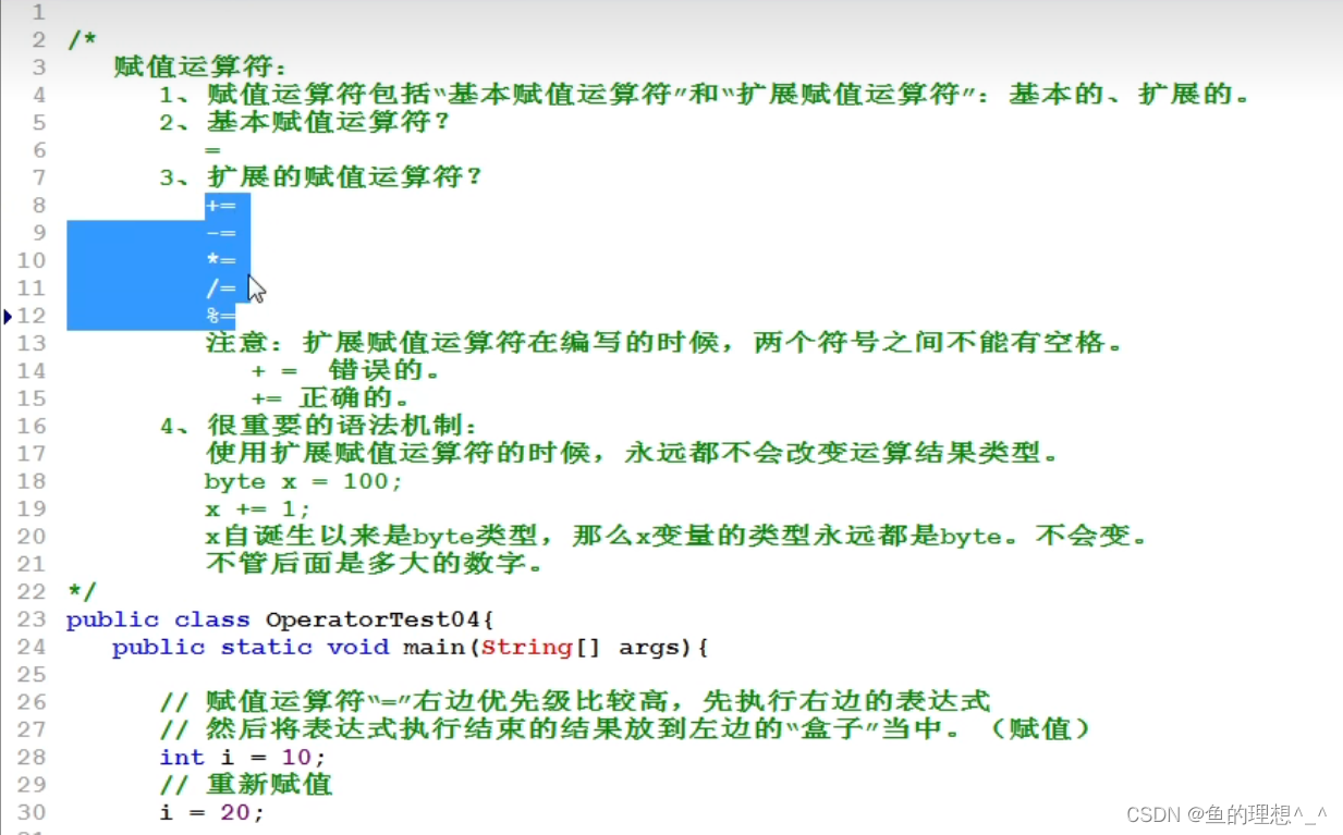 Java——赋值运算符 Csdn博客 