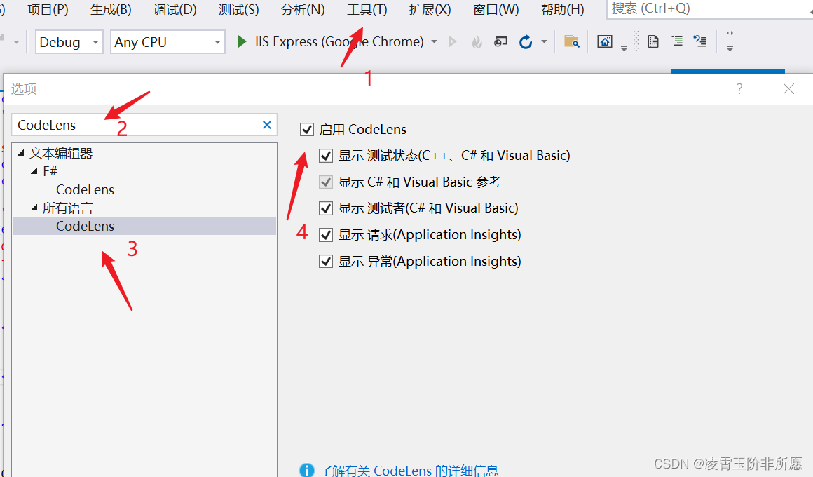 Visual Studio主题字体推荐以及CodeLens启用_visual studio推荐字体-CSDN博客