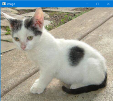 Opencv学习笔记——基础知识-CSDN博客