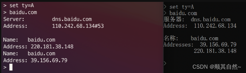 nslookup 入门命令详解-CSDN博客