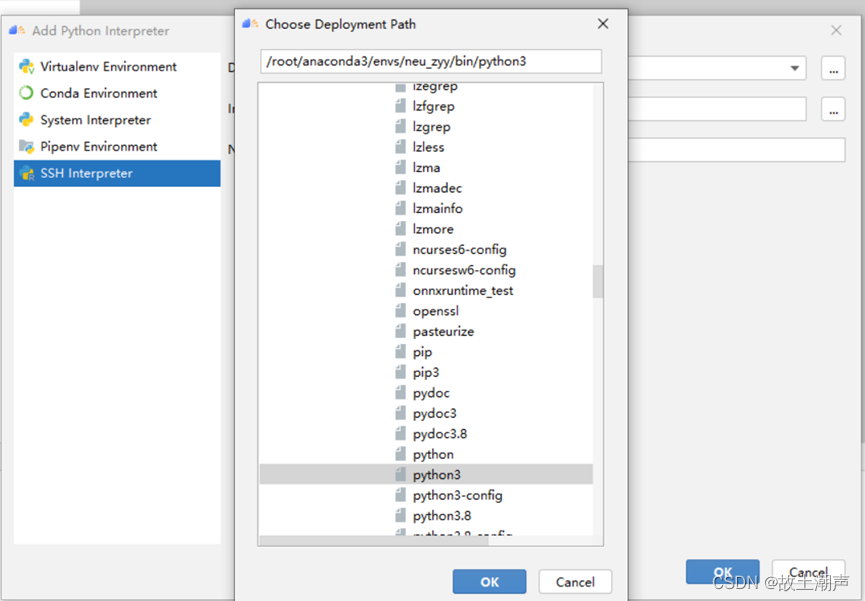 基于MindStudio对PraNet模型推理全流程_模型推理 每次开启关闭环境-CSDN博客