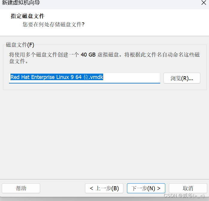 安装redhat9的步骤(要有rhel-9.3-x86_64-dvd.iso这个安装包)_rhel9.3 iso-CSDN博客