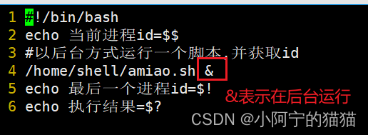 Linux之shell 编程详解真的超详细哦linux Shell小阿宁的猫猫的博客 Csdn博客 7174