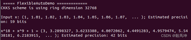 CKKS 精度测试（openFHE和Tenseal库）-CSDN博客