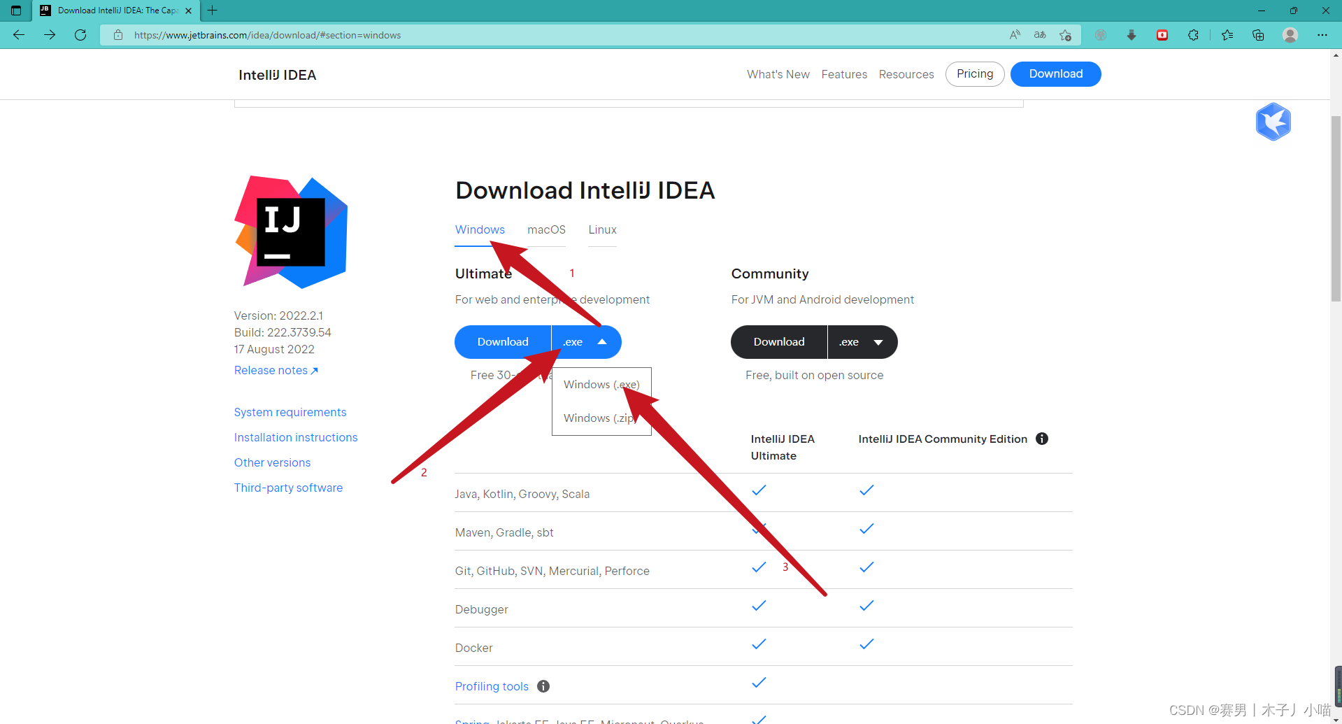 IntelliJ IDEA 2022.2保姆级安装教学_idea2022.2.2安装教程-CSDN博客