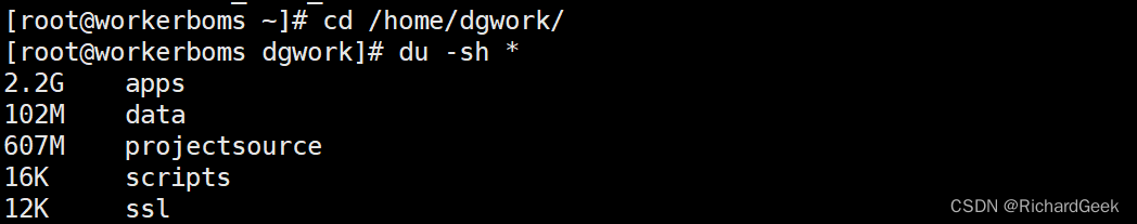 Linux 利用 du -sh 命令查看磁盘使用文件大小信息-CSDN博客