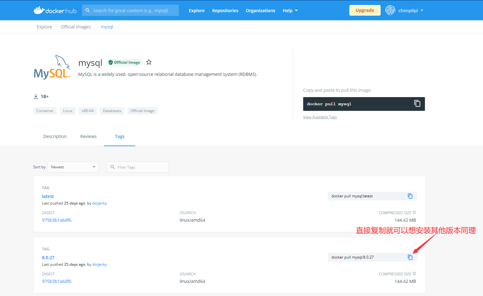 Docker安装mysql8教程 Csdn博客