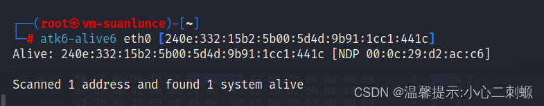 Thc-Ipv6 使用-CSDN博客