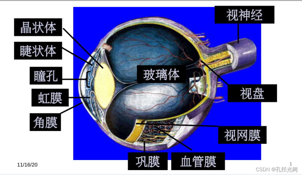 zemax-07人眼模型_zemax人眼模型-CSDN博客