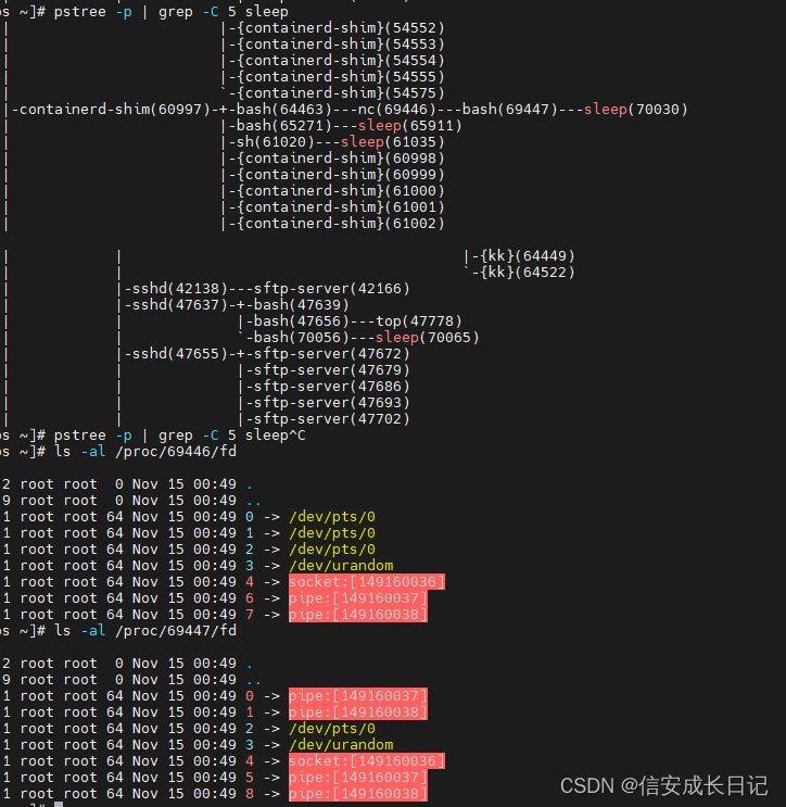 linux类反弹shell特征提取_反弹shell流量特征-CSDN博客