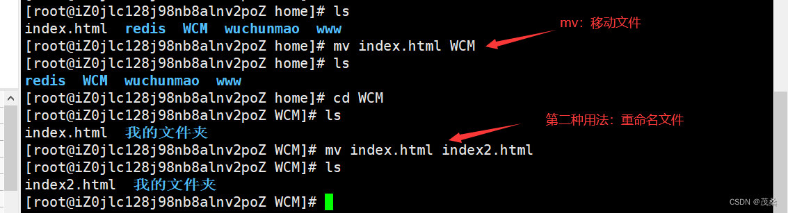 Linux学习三：常用命令-目录管理（cd、ls、mkdir、rmdir、rm、cp、mv）_掌握linux基本命令目录管理命令是什么-CSDN博客